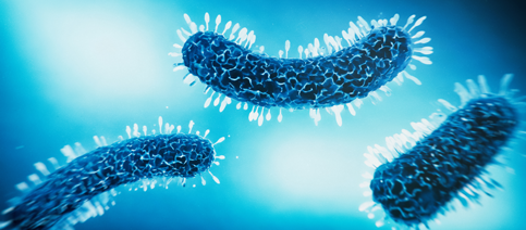 Tuberculosis (TB) Infection Testing and Treatments - Concentra